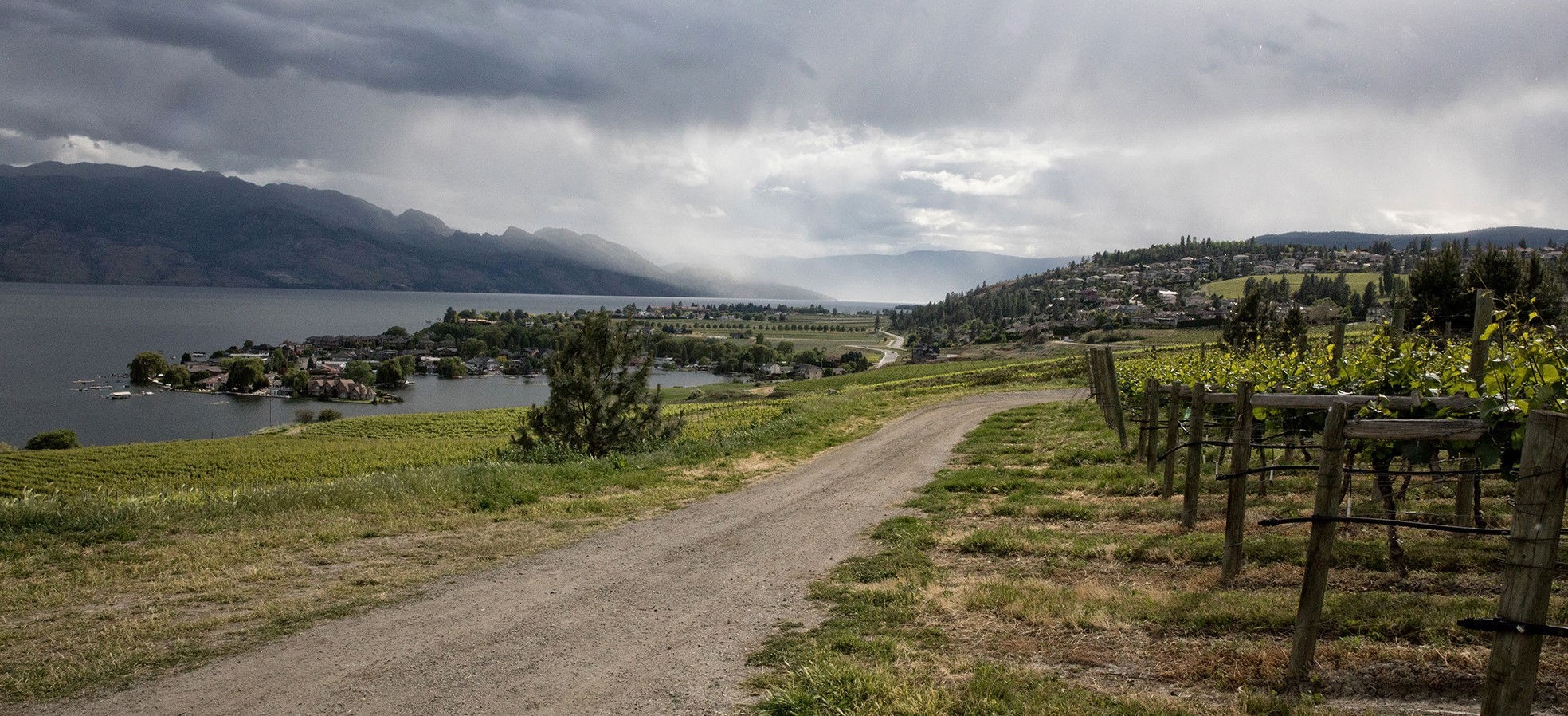 Wine O'Clock along the Westside Wine Trail