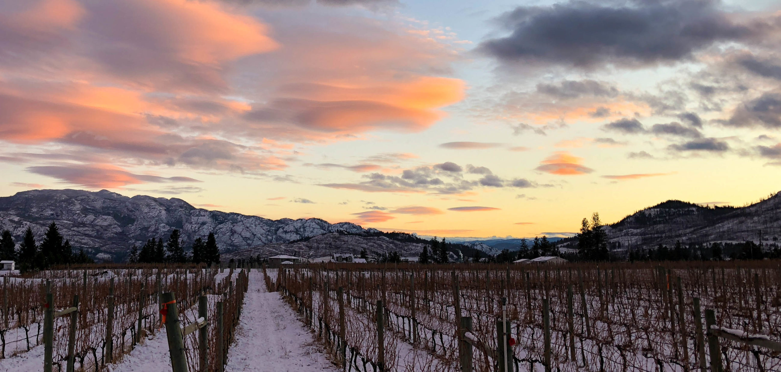Visit Westside | Official Tourism Site for West Kelowna, BC