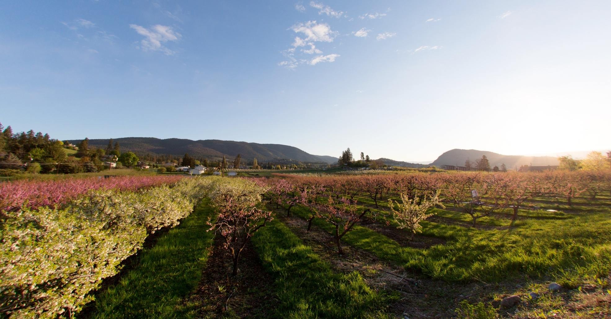 Visit Westside | Official Tourism Site for West Kelowna, BC
