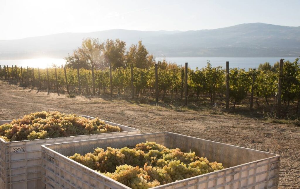 Fall Events & Activities | West Kelowna | Things to do