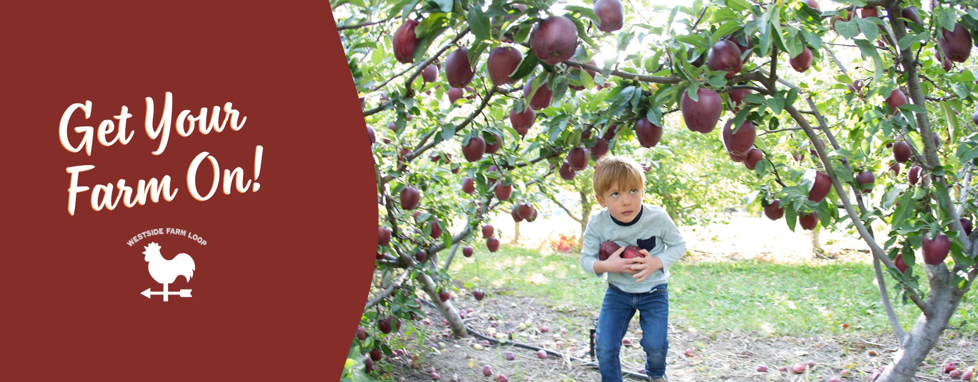 Get Your Farm On: Experience the Westside Farm Loop